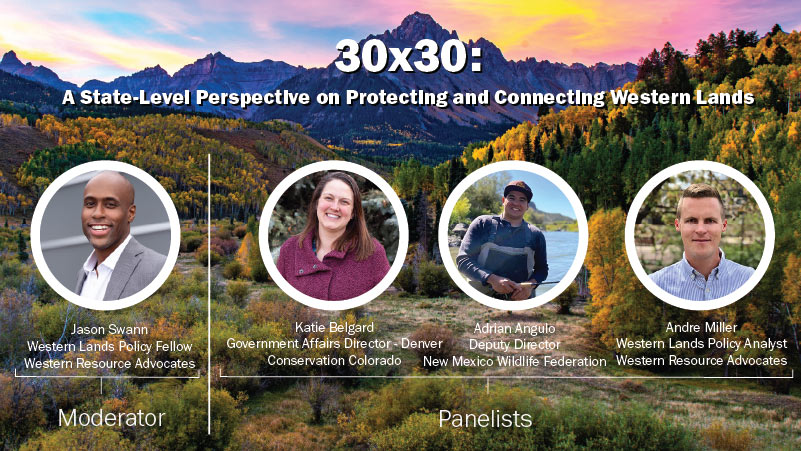 Webinars Archive - Western Resource Advocates