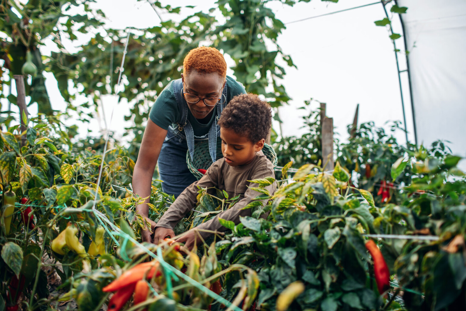 Building Community Resilience to Climate Change - Western Resource ...