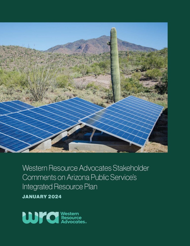 WRA's Stakeholder Comments on Arizona Public Service’s Integrated ...